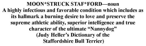 Moonstruck Staffords – Staffordshire Bull Terriers, MD